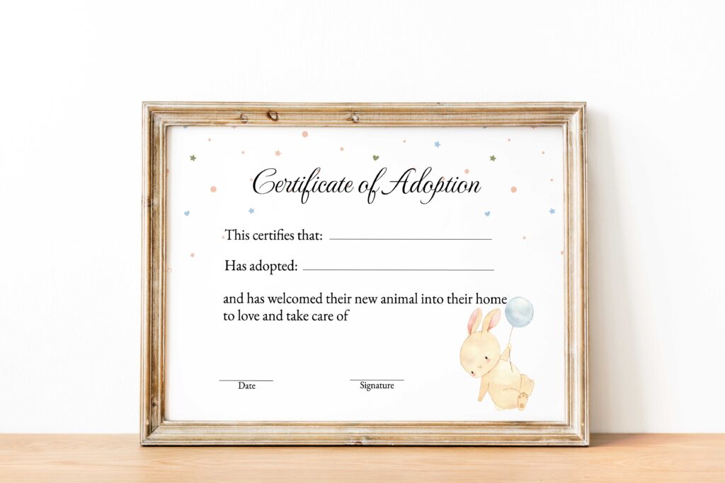 Adoption Certificate For Stuffed Animal, Rabbit Adoption Certificate ...